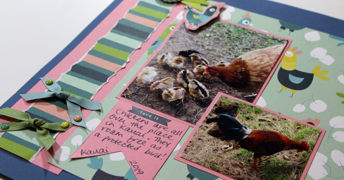 Chicken Scrapbook Layout - Life is Sweeter By Design
