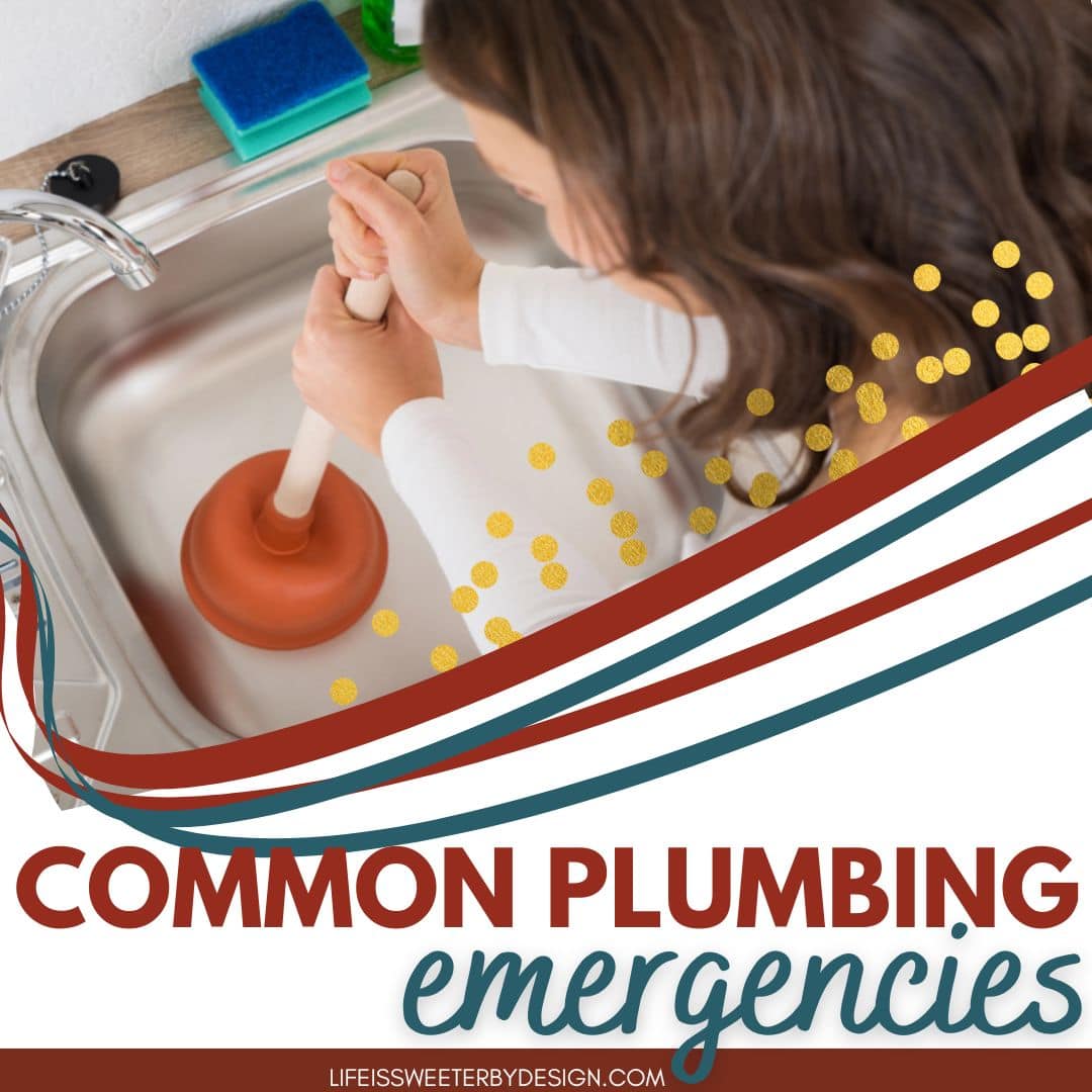 5 Most Common Plumbing Emergencies and How to Find Experts in Your Area ...
